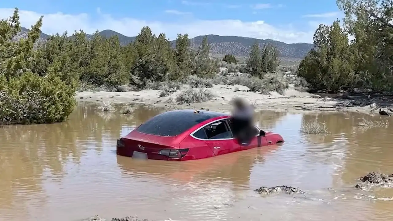 Řidič Tesly se nevěnoval řízení. Autopilot nečekaně spáchal harakiri